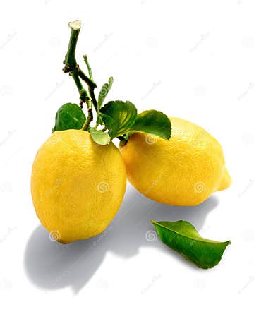 Natural lemons stock photo. Image of fresh, mediterranean - 4985822