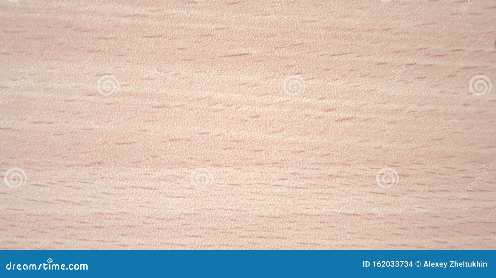 Natural Light Beech, Rough Wood Texture Close-up Stock Photo - Image of ...