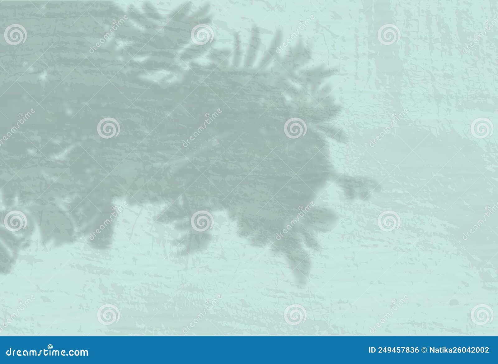 Natural Light Casts Shadows from a Leaves Branches of Tree. Top View of ...