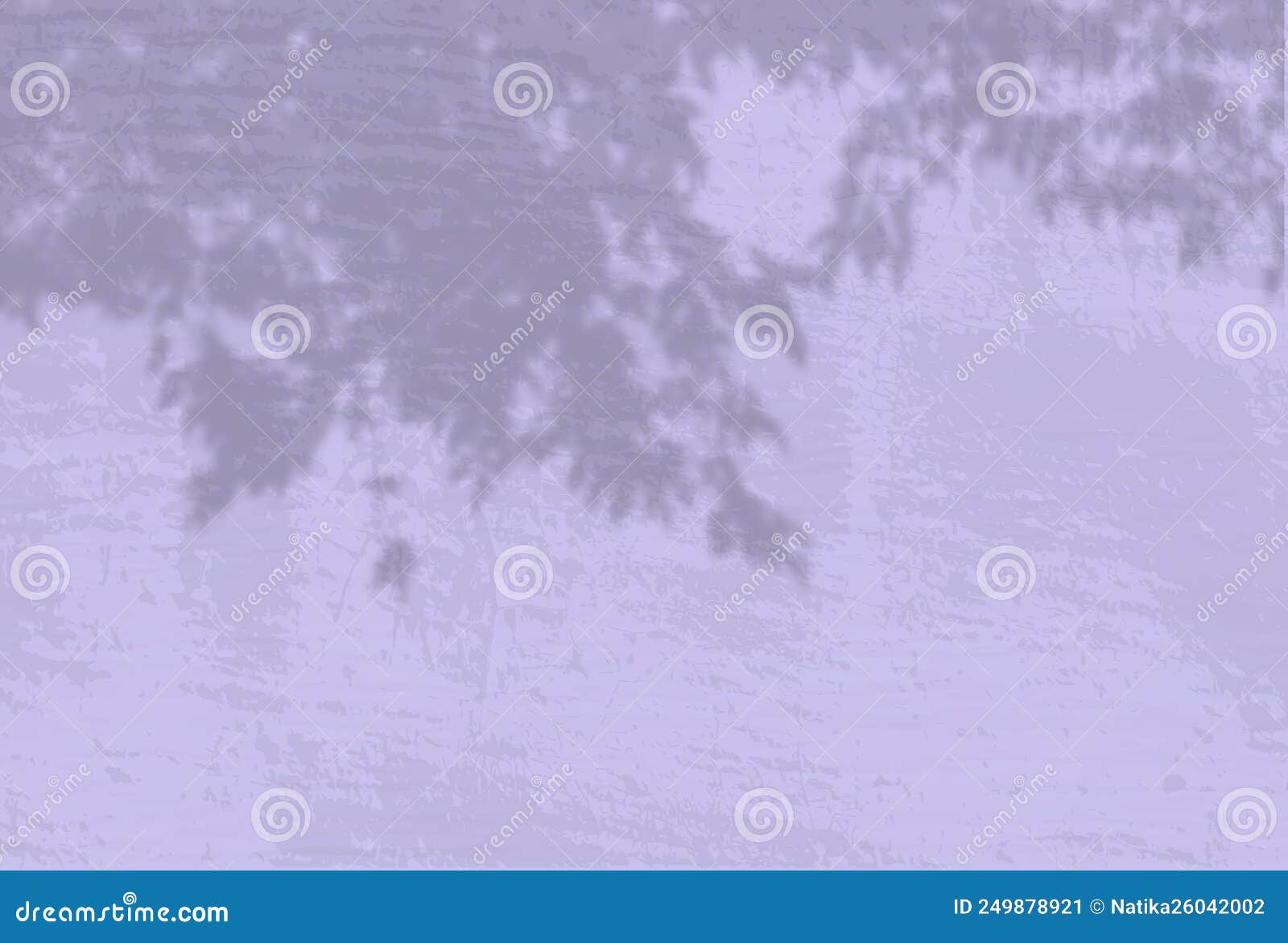 Natural Light Casts Shadows from a Leaves Branches of Tree. Top View of ...