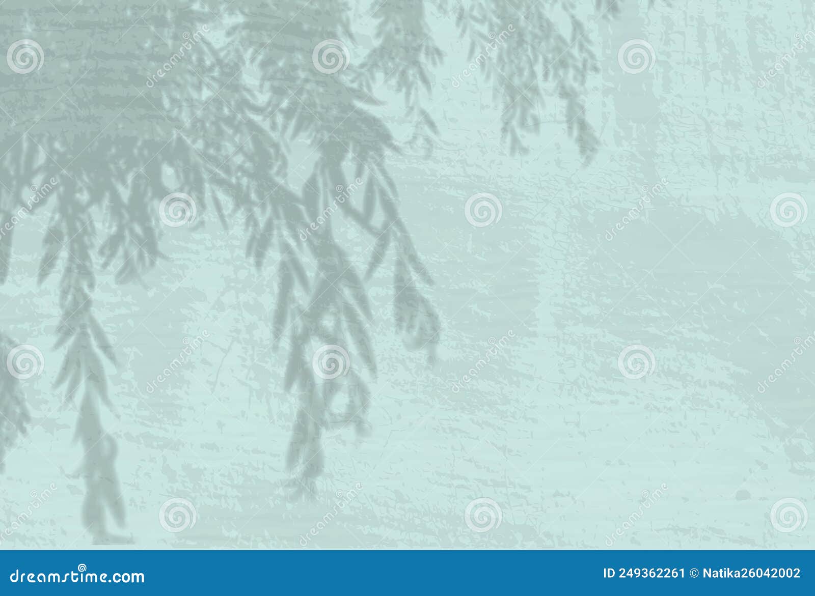 Natural Light Casts Shadows from a Leaves Branches of Tree. Top View of ...