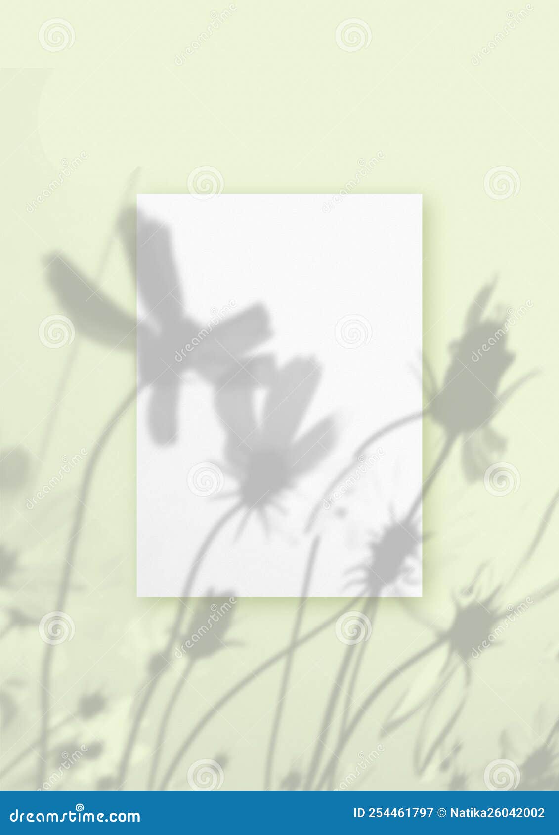 Natural Light Casts Shadows from the Plant on a Rectangular Sheet of ...