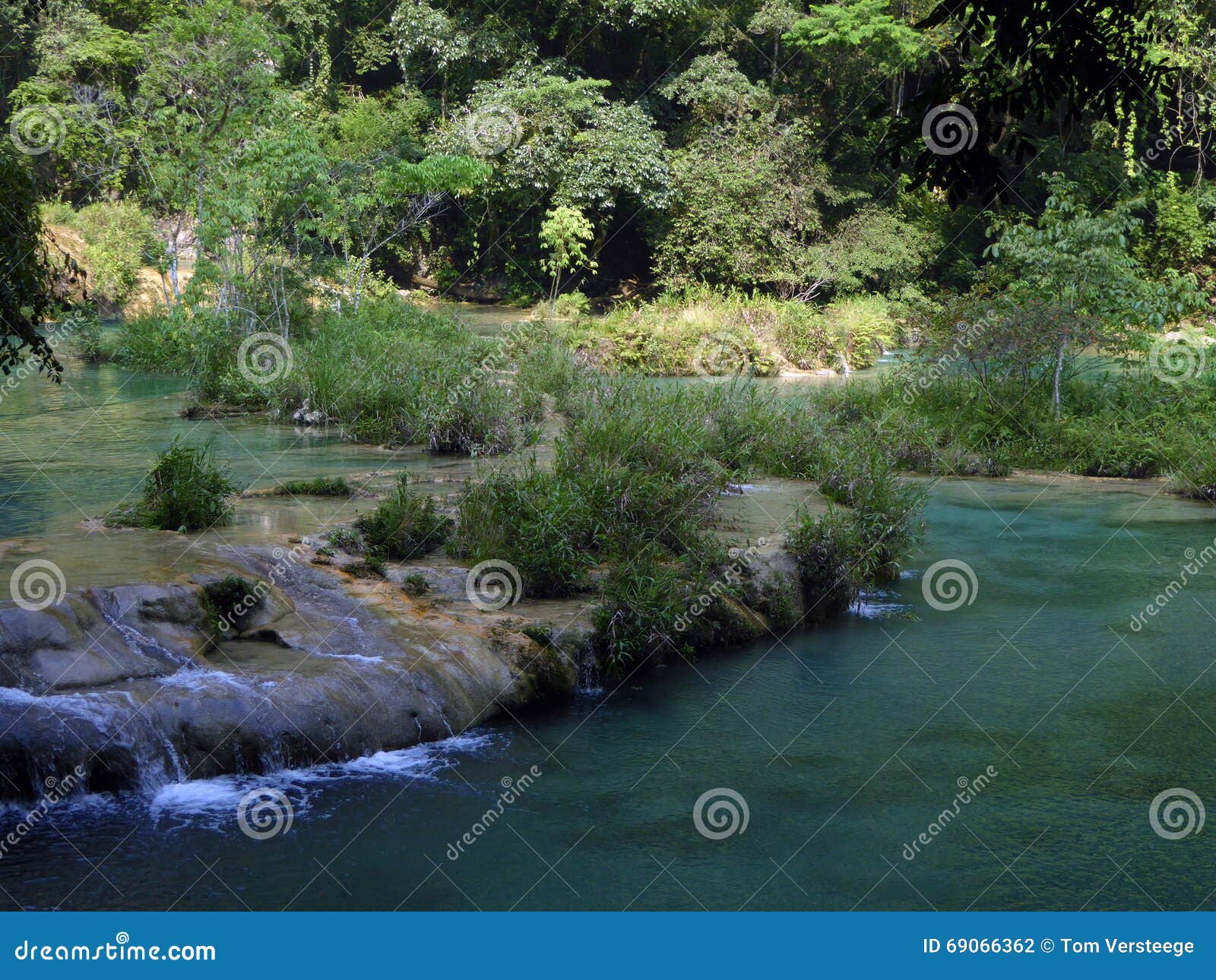 Natural Limestone Dam at Turquoise Pool of Semuc Champey Stock Photo ...