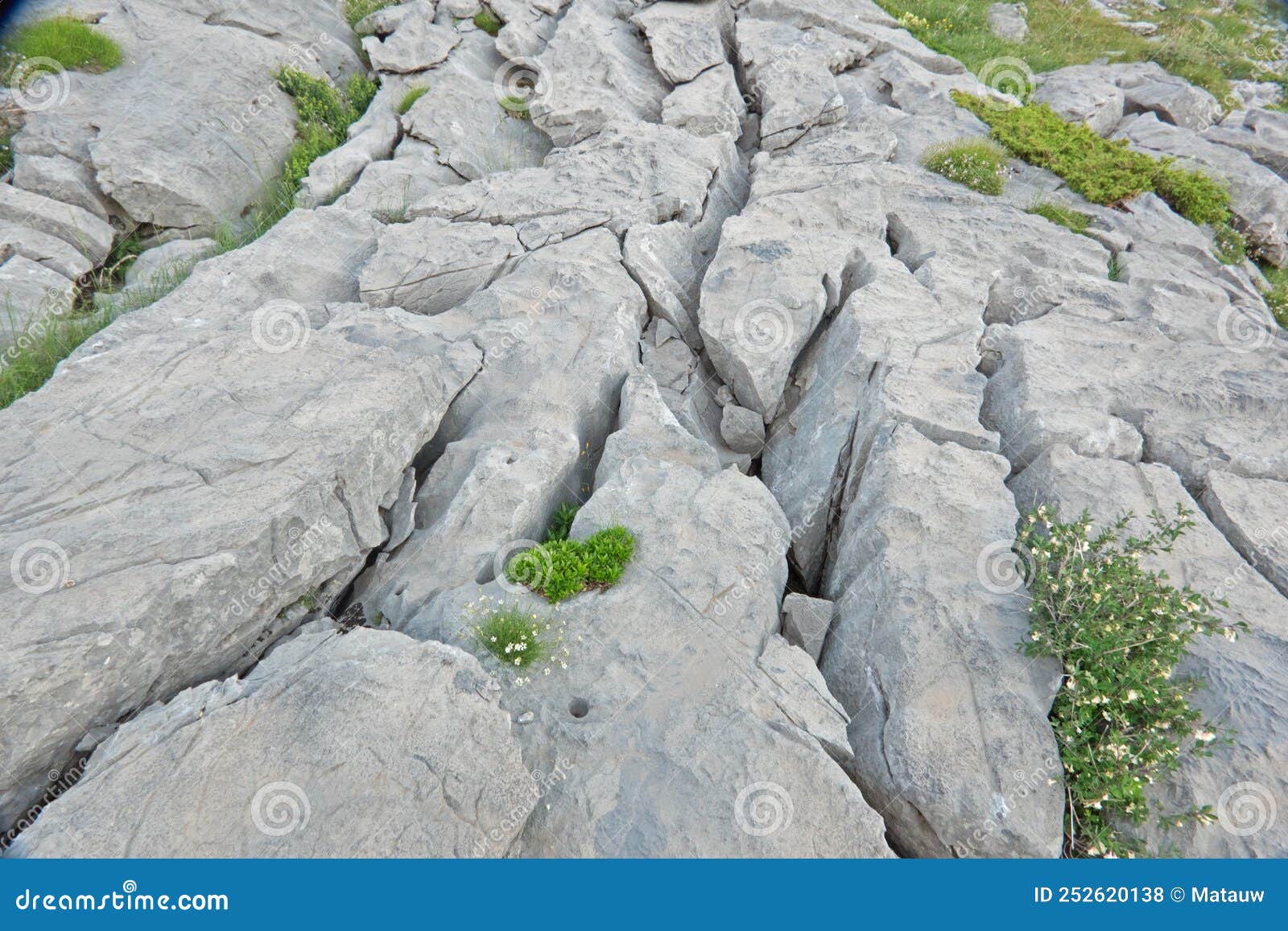 Dissolution Of Rocks