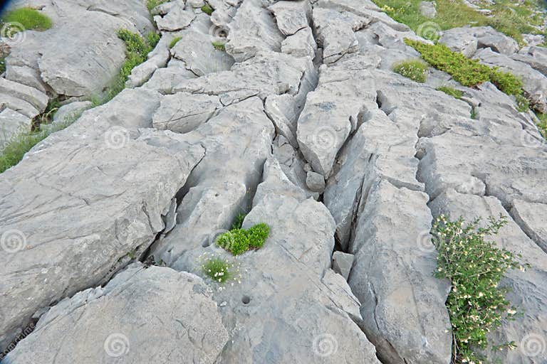 Natural Limestone Pavement, a Karst Feature Stock Photo - Image of ...