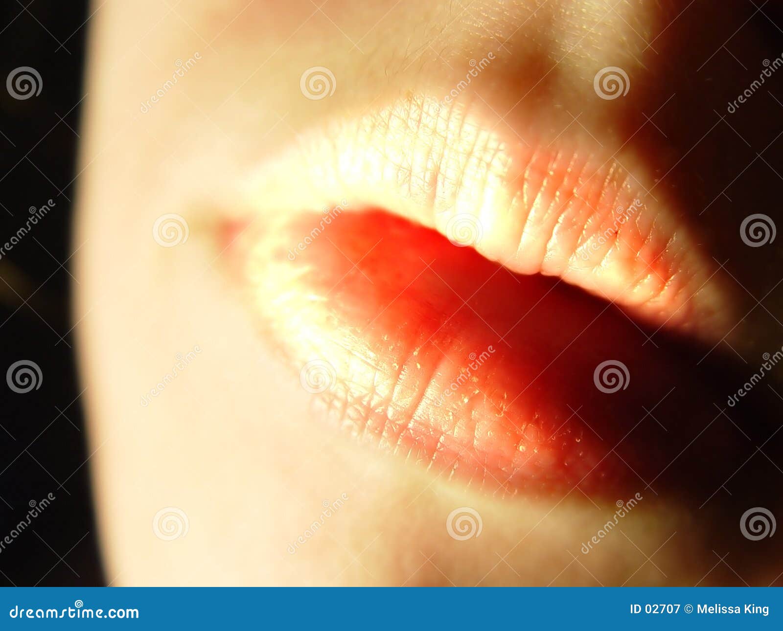 Natural Lips stock image. Image of detailed, lipstick, designs - 2707