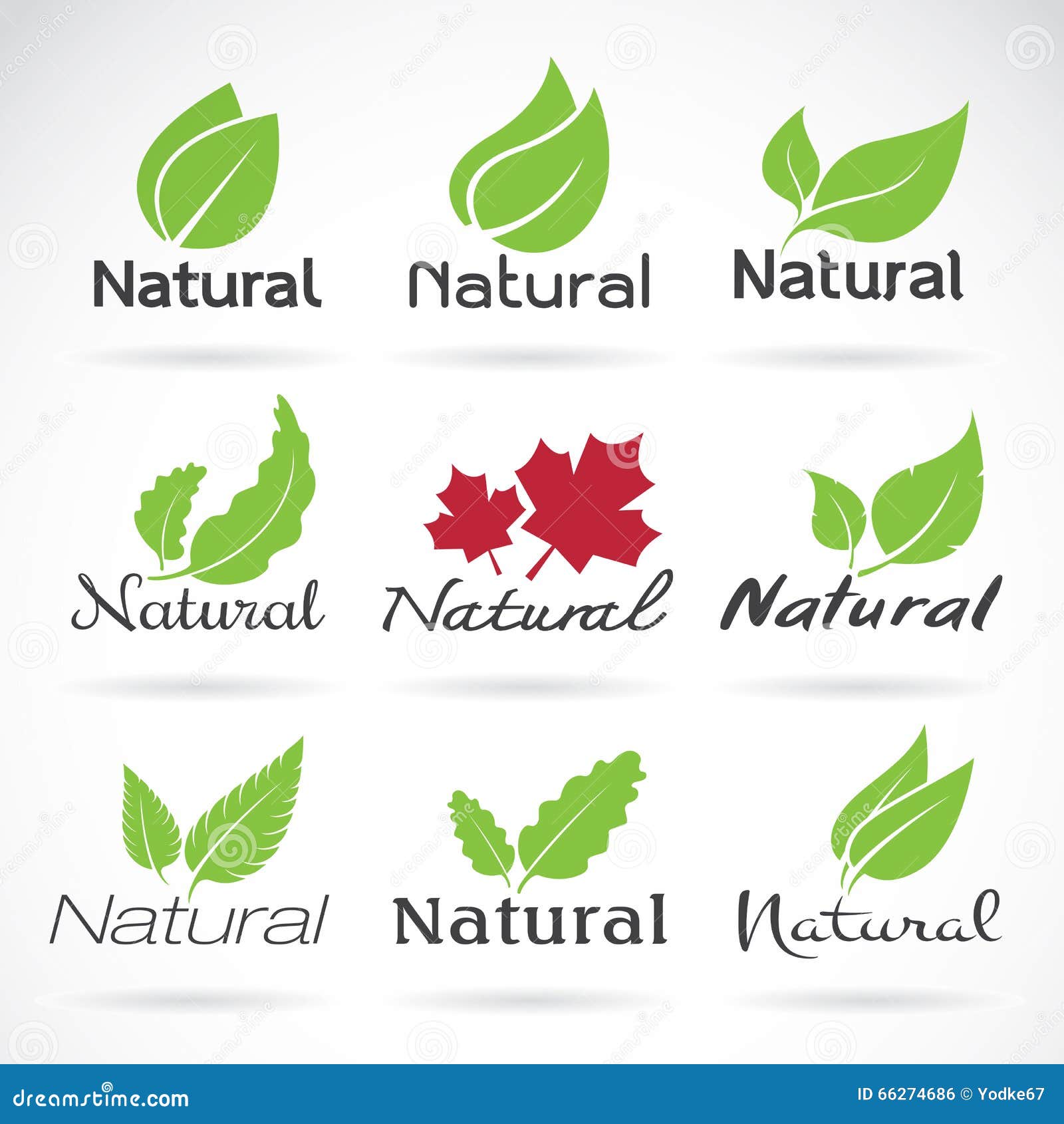 Natural Logo Design Vector Template Stock Vector - Illustration of ...