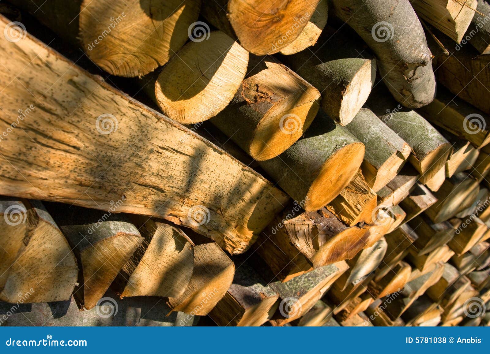 Natural lumber stock photo. Image of nature, rings, pine - 5781038