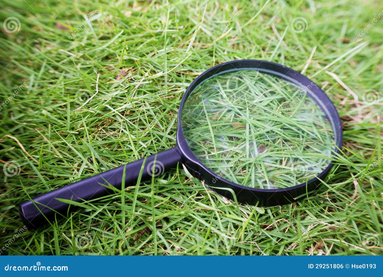 Natural magnifying glass stock photo. Image of grass - 29251806