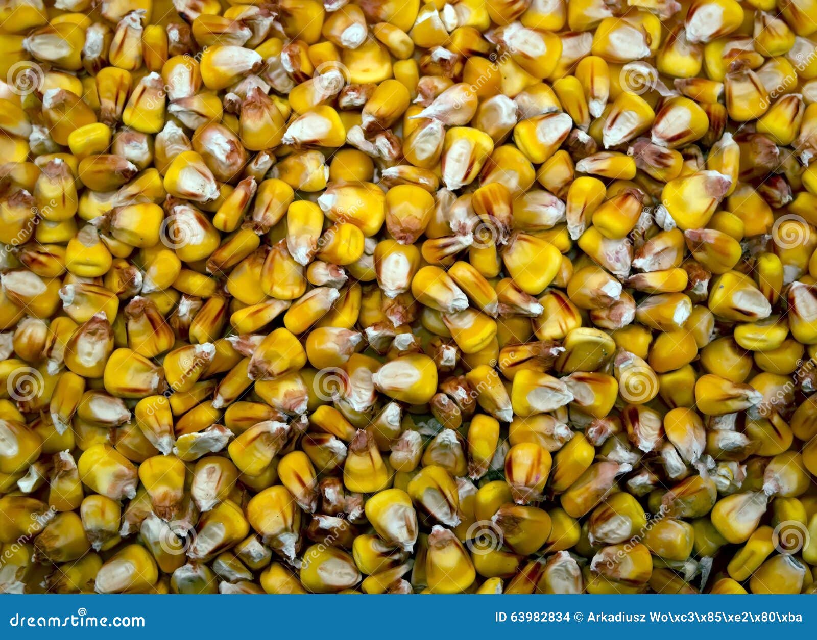 Natural Maize Grains Texture Stock Photo - Image of zoom, grain: 63982834