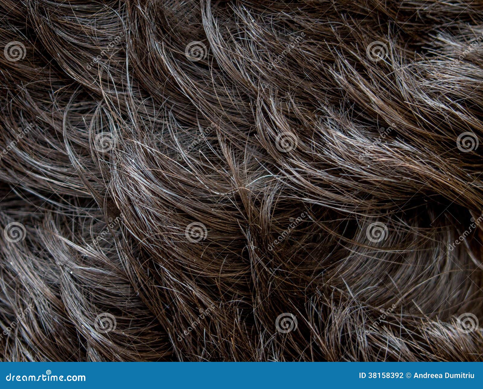 Natural Man Hair stock photo. Image of black, beauty - 38158392