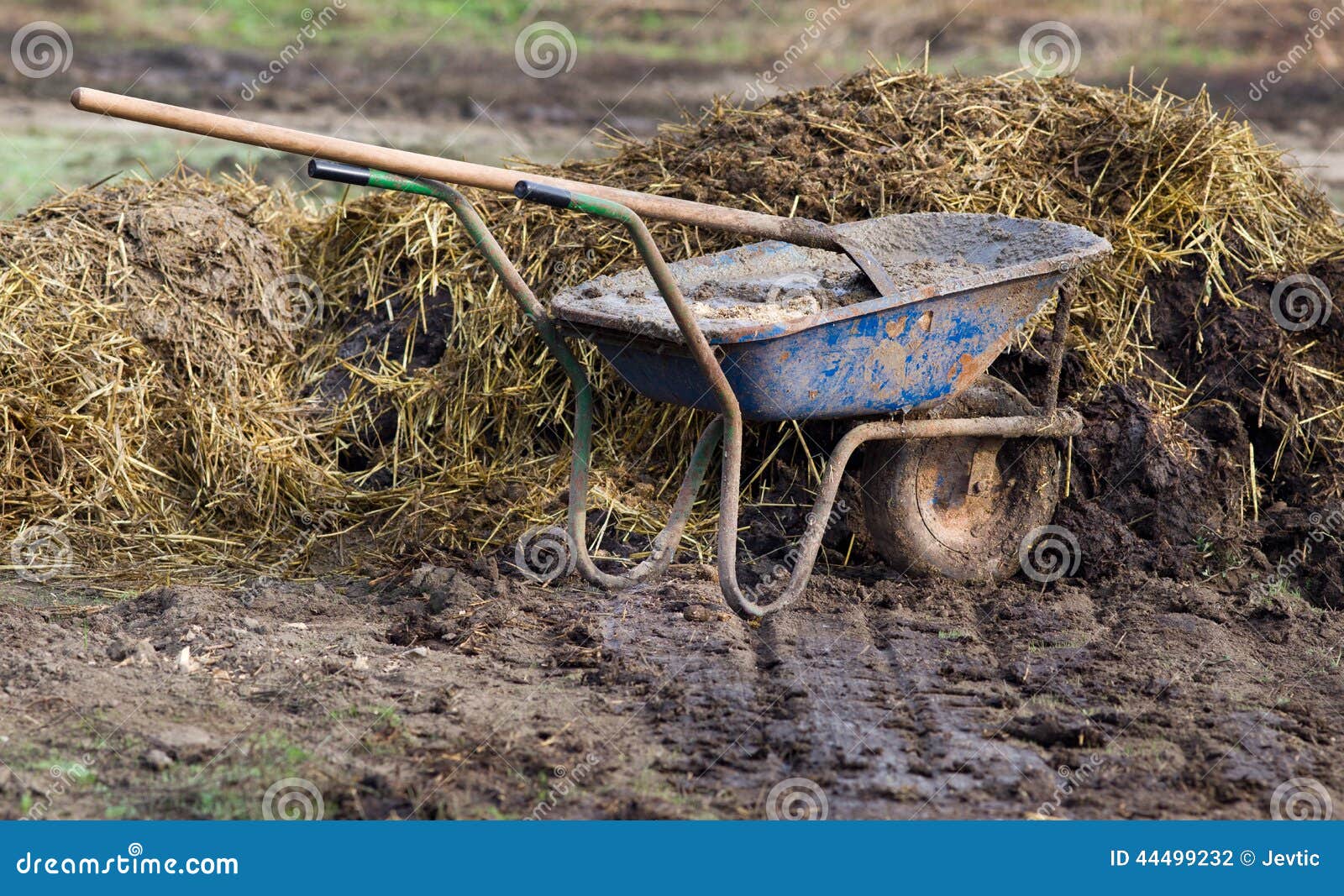 Natural manure stock photo. Image of manure, carts, agricultural - 44499232