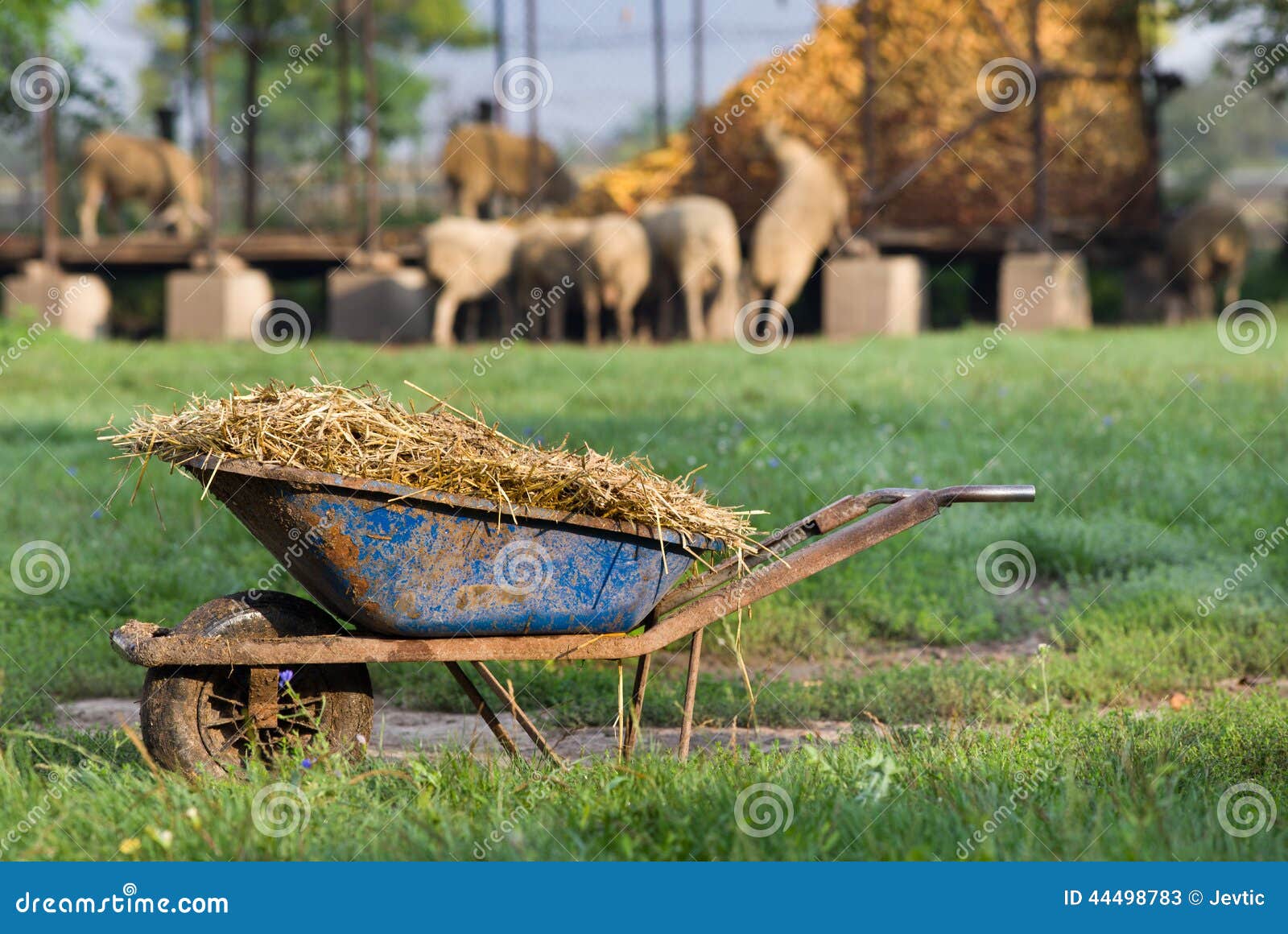 Natural manure stock image. Image of feces, fertilizer - 44498783
