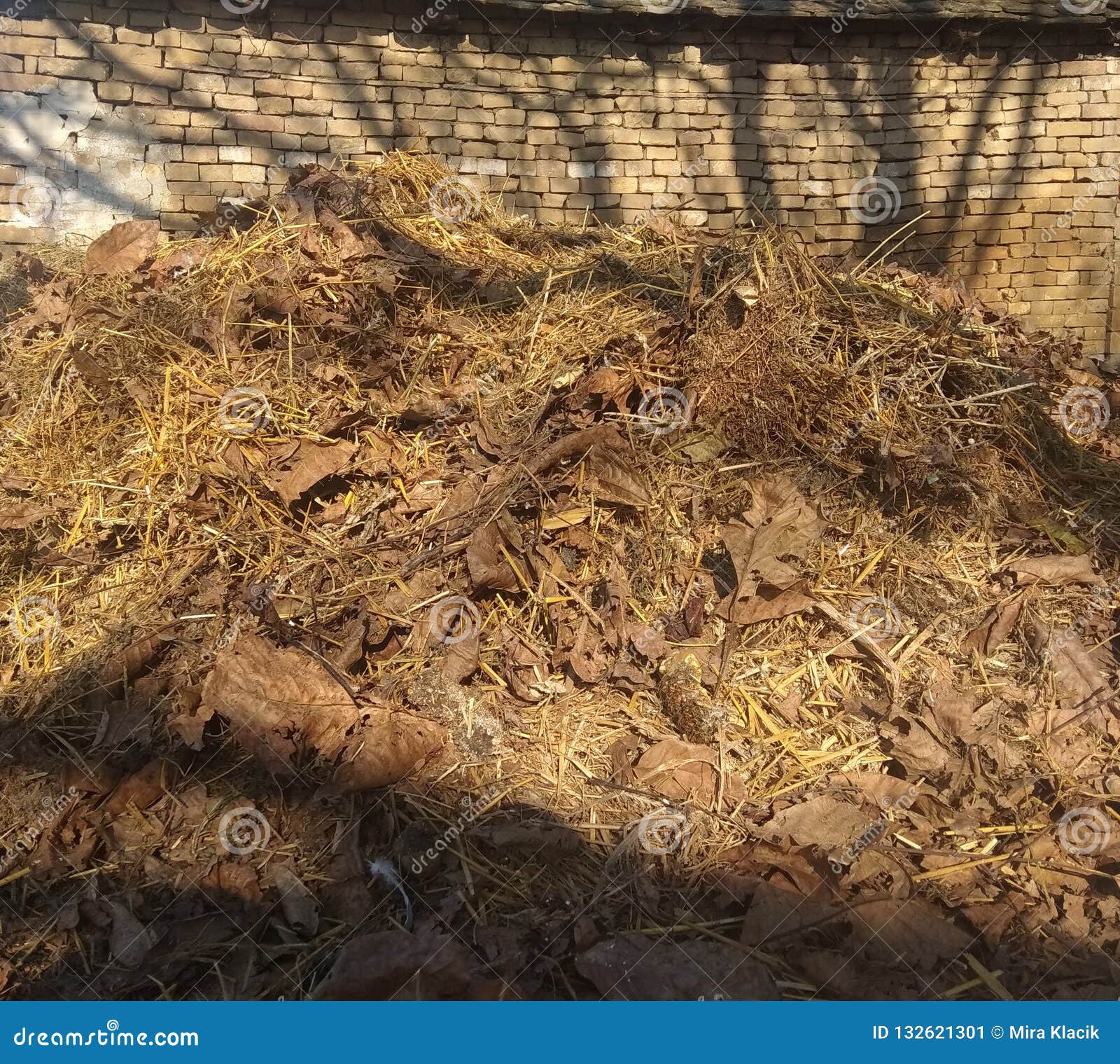 Natural manure stock image. Image of straw, natural - 132621301