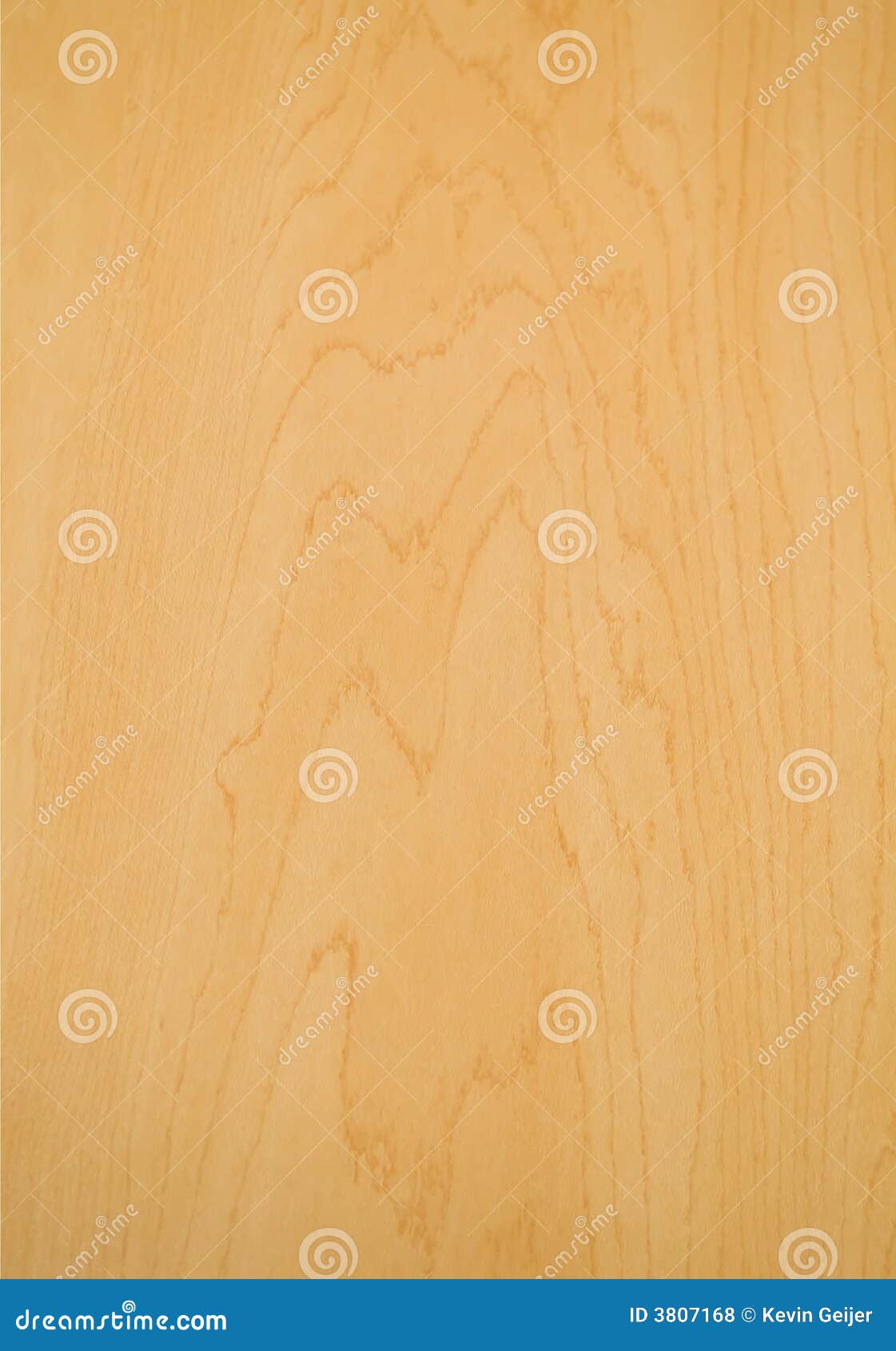 Natural Maple stock photo. Image of natural, texture, pattern - 3807168