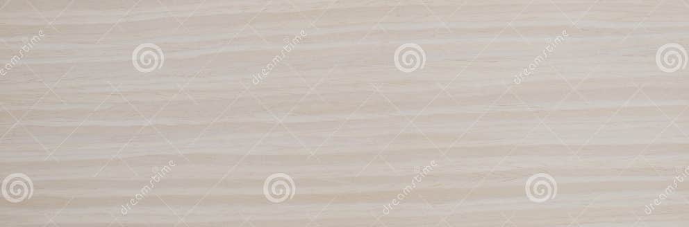 Natural Maple Tree Wood Background Stock Photo - Image of background ...