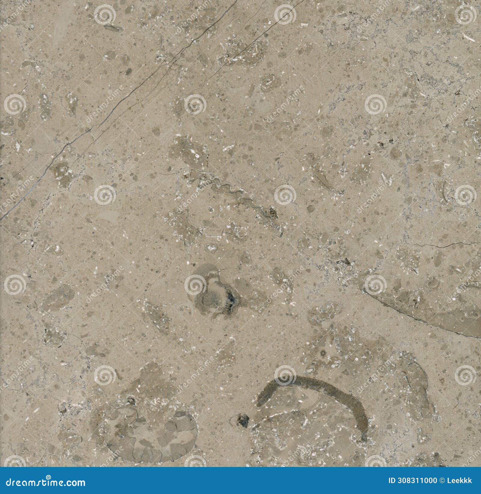 Jura Grey Marbled Background Natural Stone Plate Grain Stock Photo ...