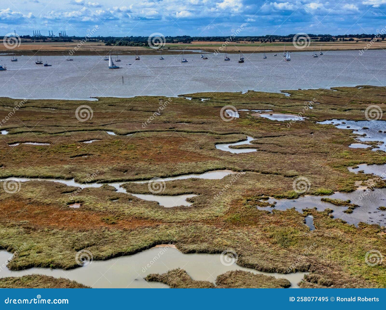Natural Marshland on River`s Edge Aerial View Stock Image - Image of ...