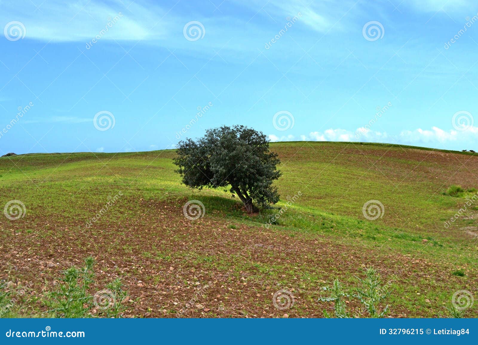 Natural Mediterranean Landscape Stock Image - Image of grass, scene ...