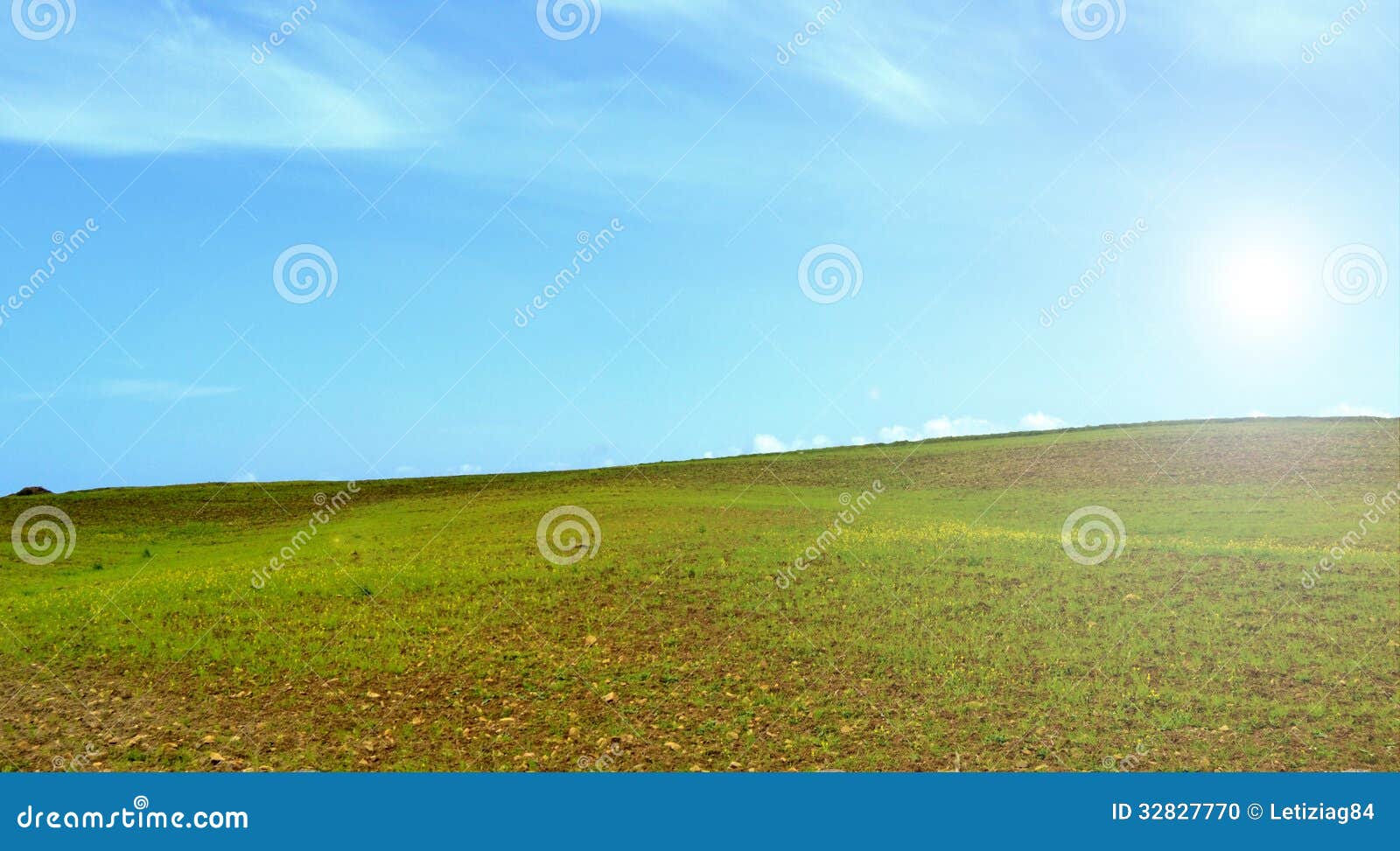 Natural Mediterranean Landscape Stock Photo - Image of olive, olives ...