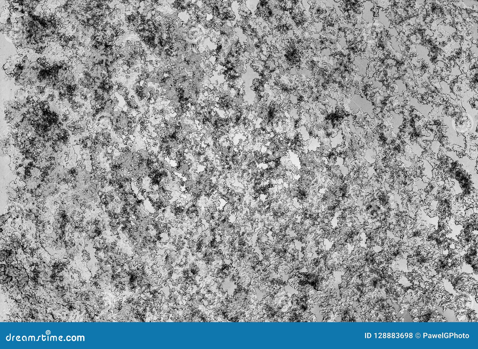 Natural Melted Snow Texture on Glass. Stock Photo - Image of abstract ...