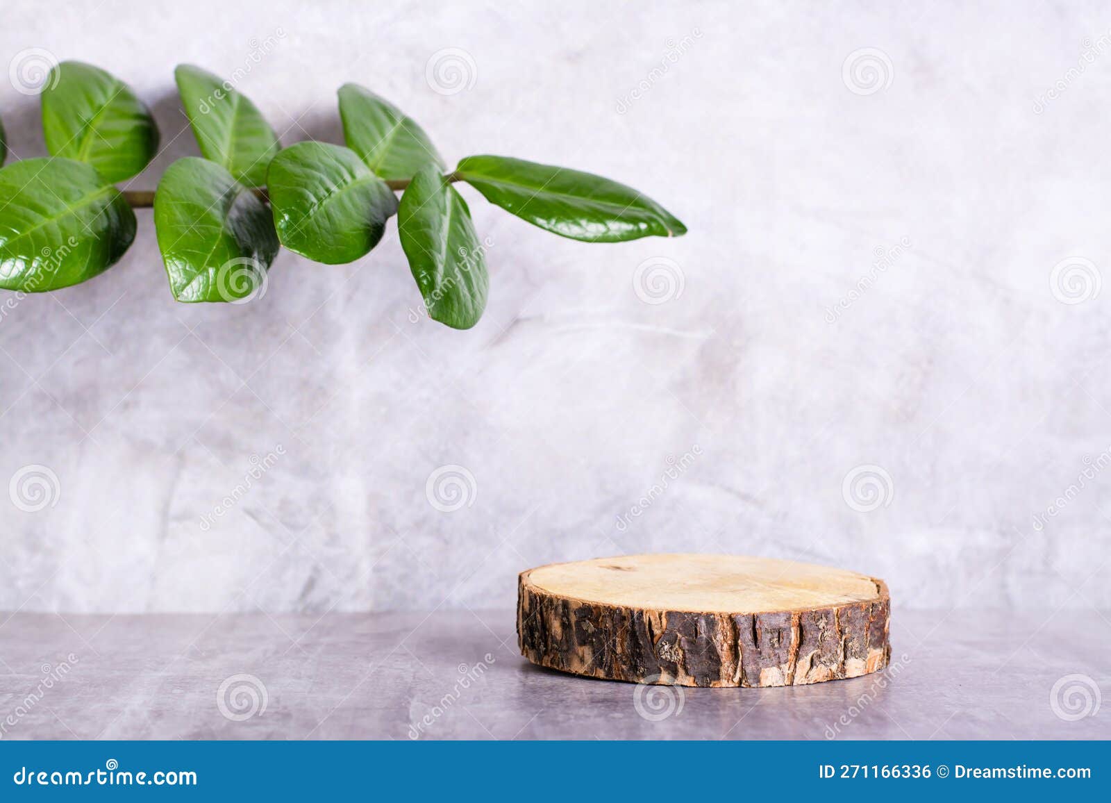 Natural Mock-up of a Tree Cut and a Branch with Leaves on a Gray ...
