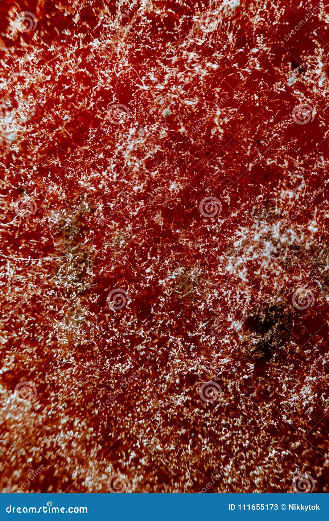 Natural mold texture stock image. Image of artistic - 111655173