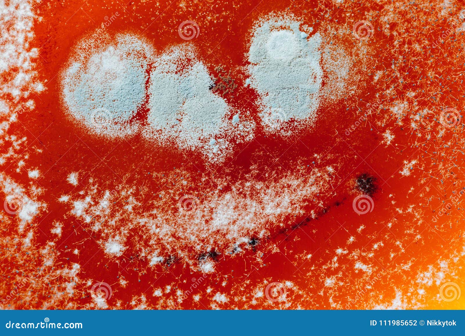 Natural mold texture stock photo. Image of infection - 111985652