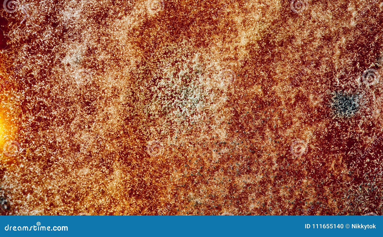 Natural mold texture stock photo. Image of natural, abstract - 111655140