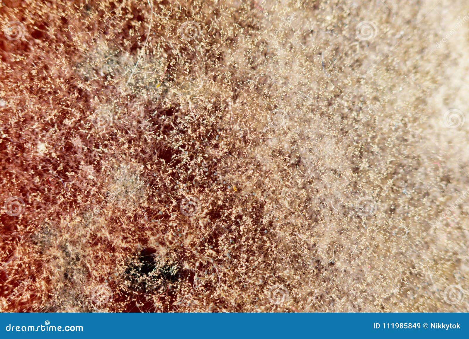 Natural mold texture stock image. Image of liquid, natural - 111985849