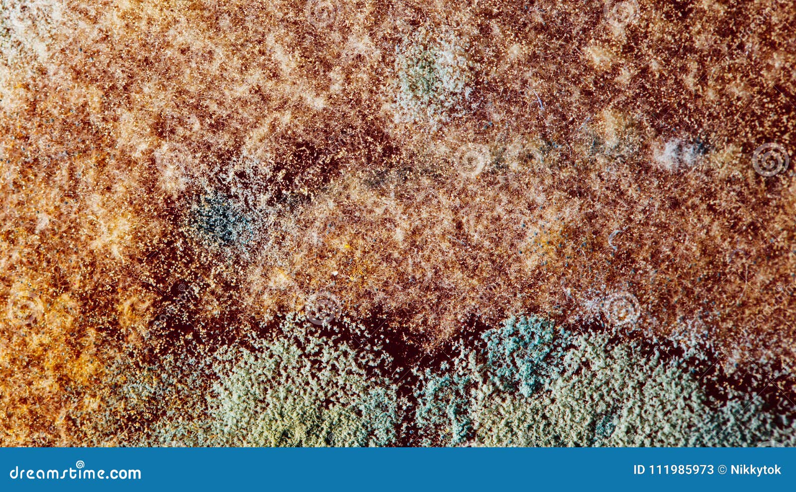Natural mold texture stock image. Image of background - 111985973