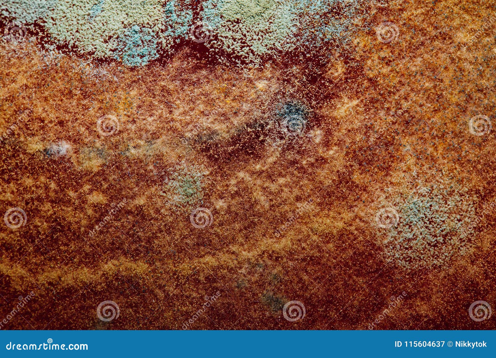 Natural mold texture stock image. Image of disease, macro - 115604637