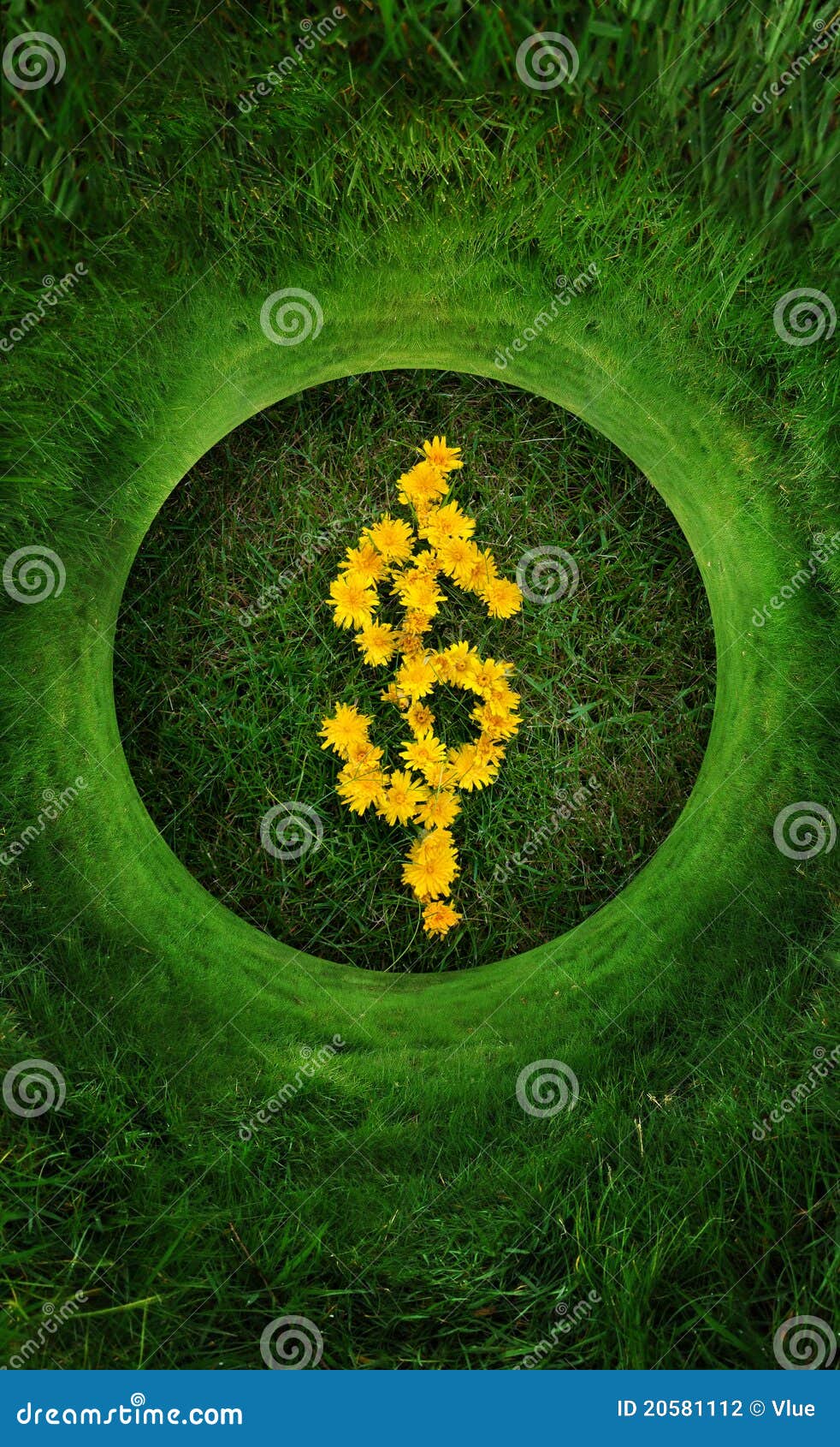 Natural Money stock photo. Image of dandelion, natural - 20581112