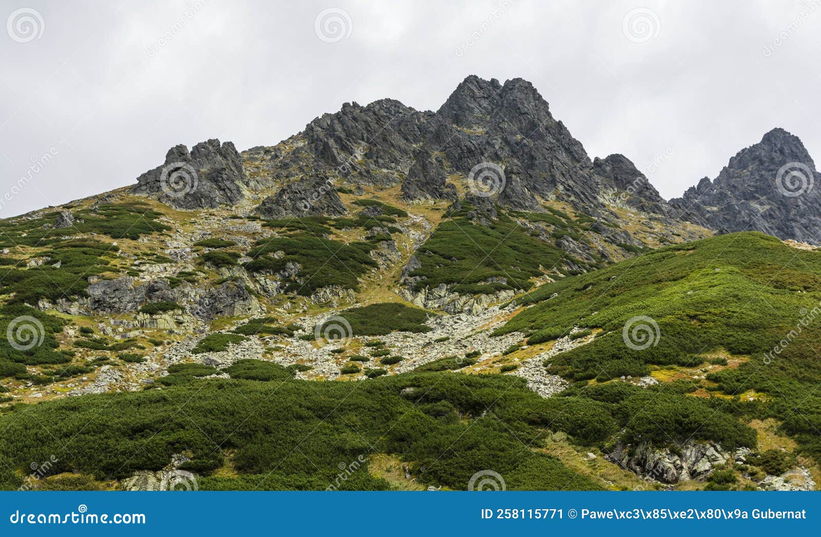 Natural Mountain Landscape. View of the Peak from the Valley Stock ...