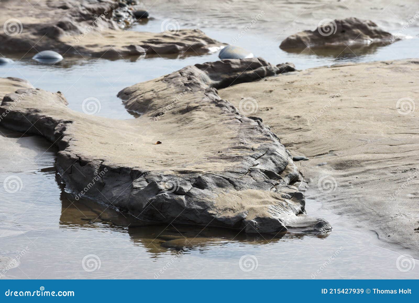 Natural Mud and Clay Formations on the Beach at Low Tide Stock Image ...