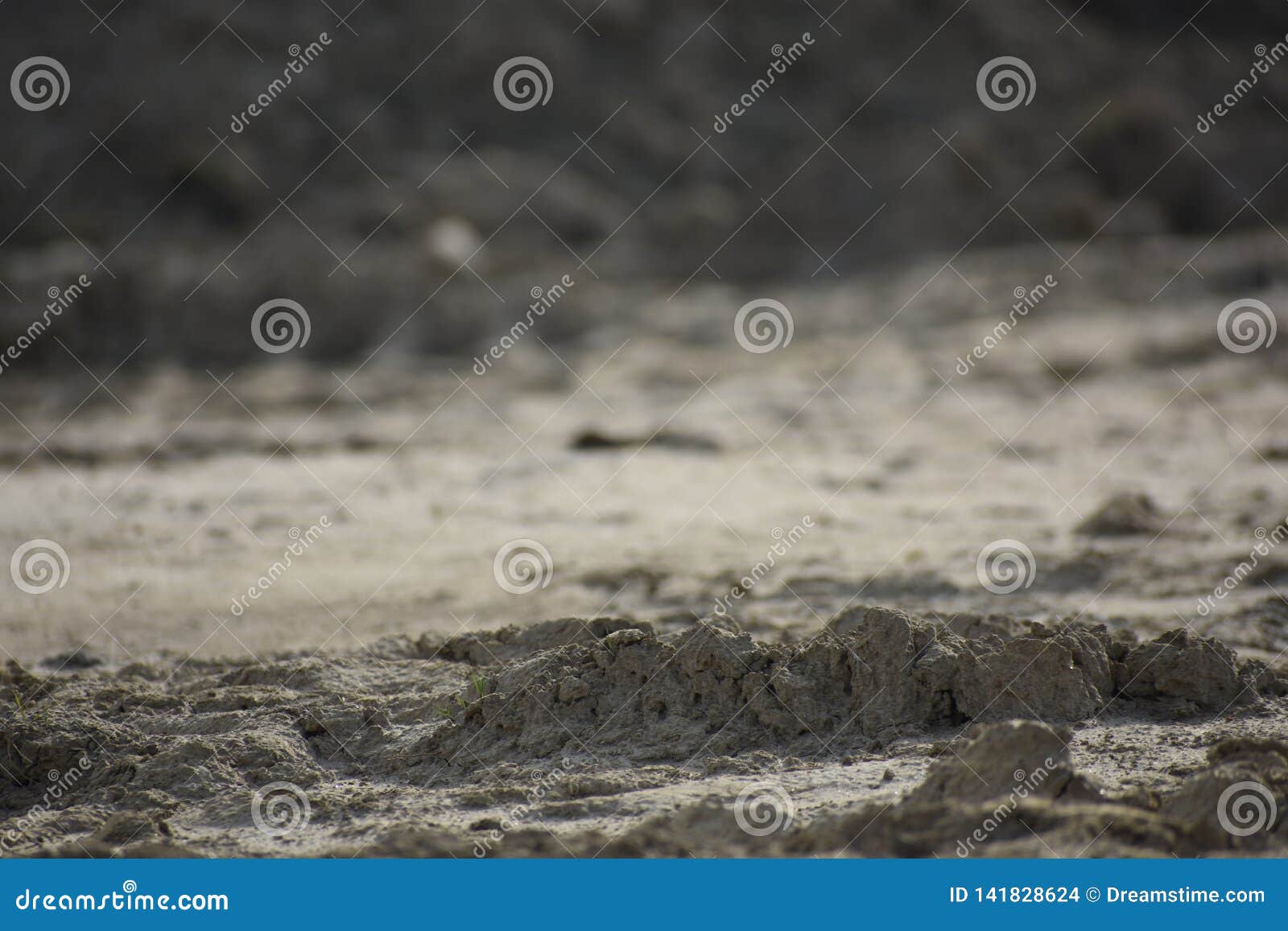 NATURAL MUD SHINING LIKE GOLD Stock Photo - Image of yellow, like ...