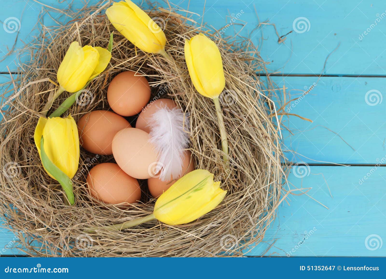 Natural Nest with Chicken Eggs Stock Image - Image of rural, nest: 51352647