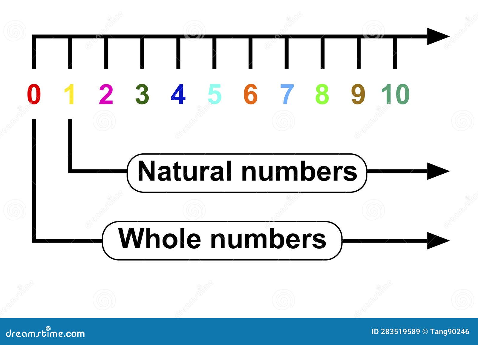 Natural Numbers and Whole Numbers Line Stock Illustration ...