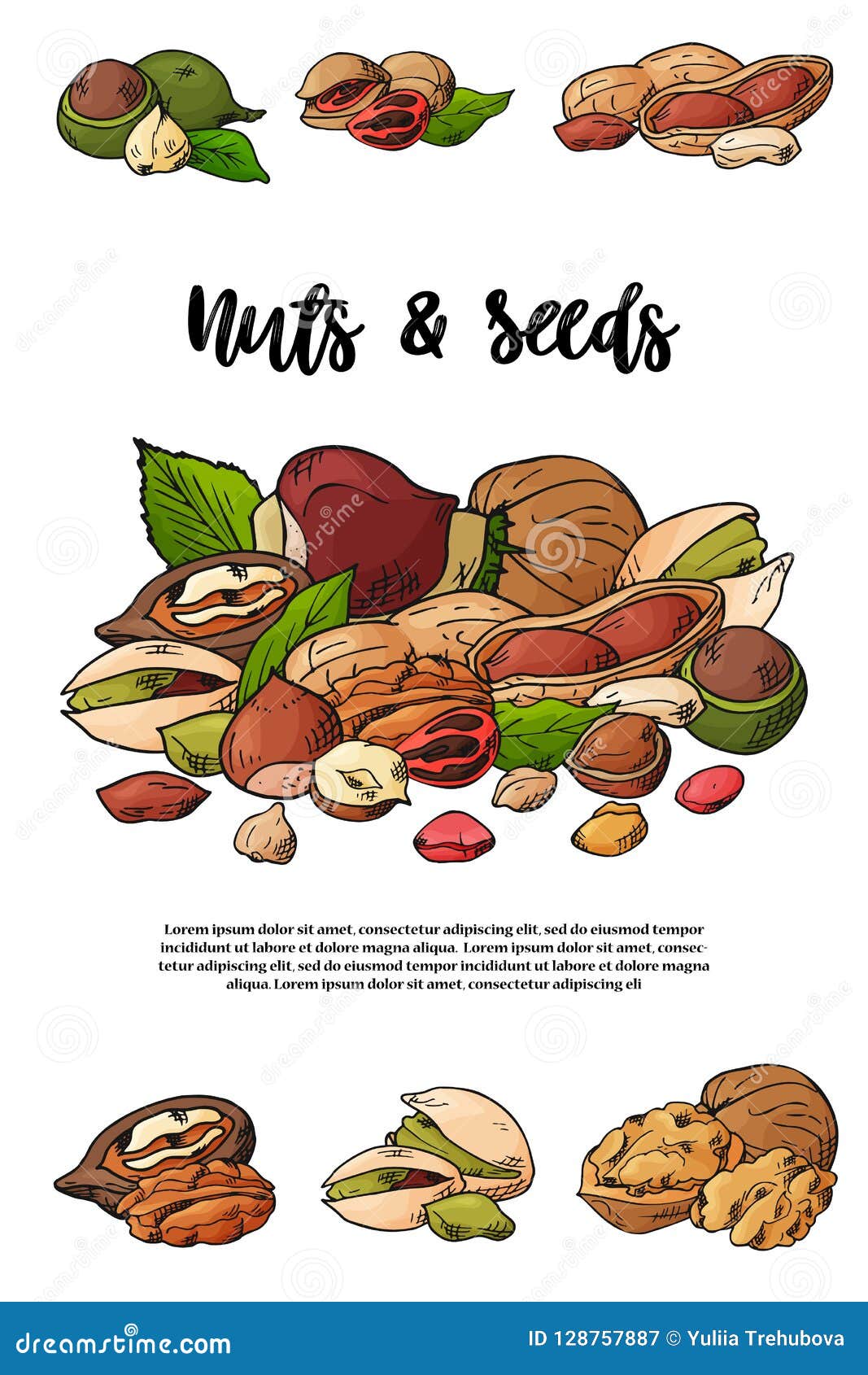 Natural Nuts and Seeds Template. Hand Drawn Objects for Your Design ...