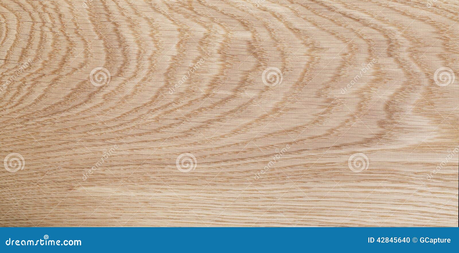 Natural Oak High Detailed Texture Stock Photo - Image of striped, brown ...