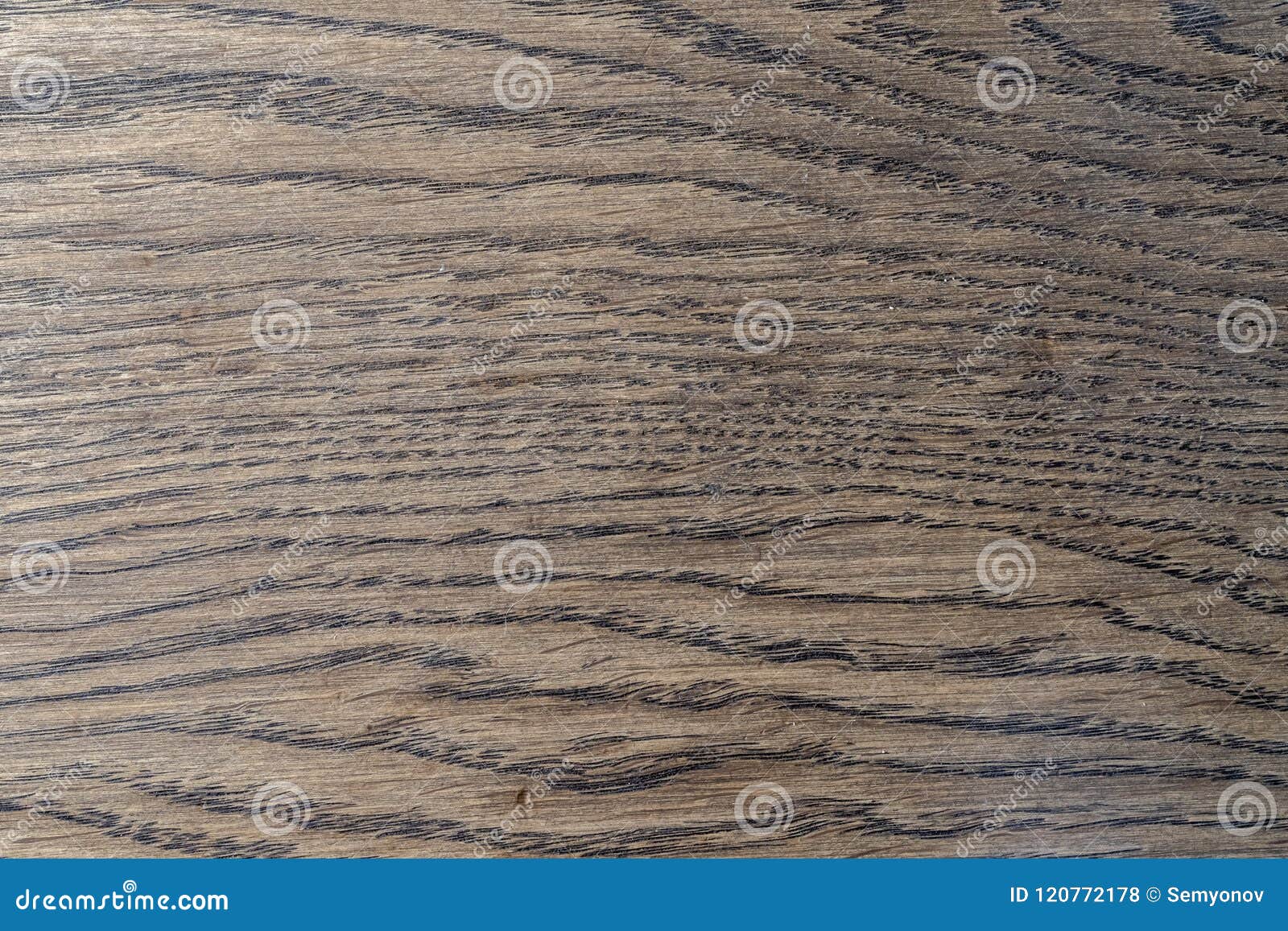 Natural Oak Pattern. Macro Shot of Oak Texture Stock Photo - Image of ...