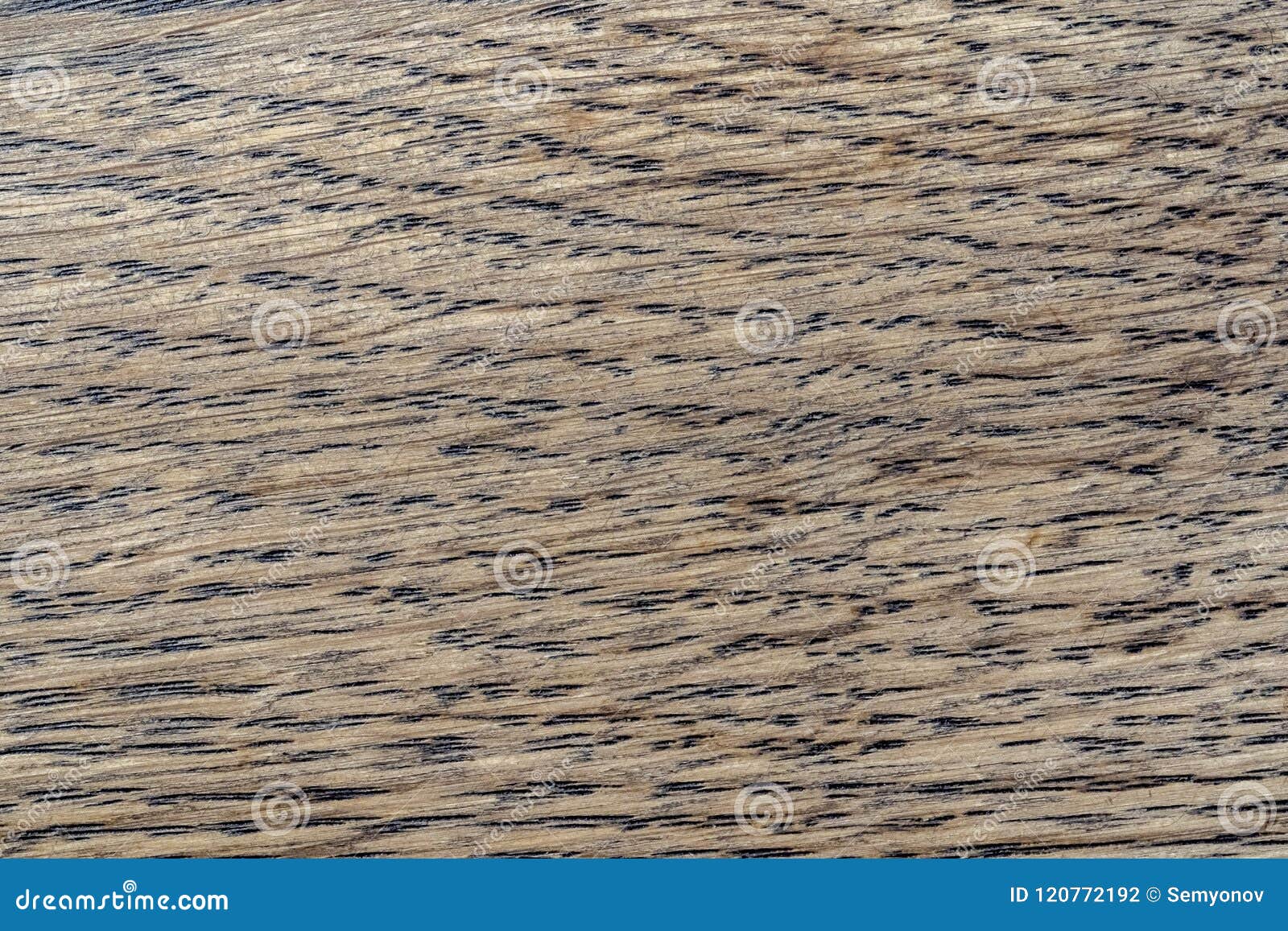 Natural Oak Pattern. Macro Shot of Oak Texture Stock Photo - Image of ...