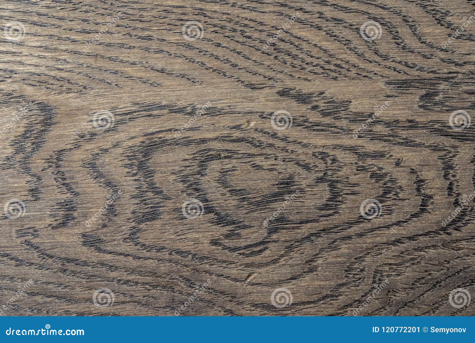 Natural Oak Pattern. Macro Shot of Oak Texture Stock Image - Image of ...
