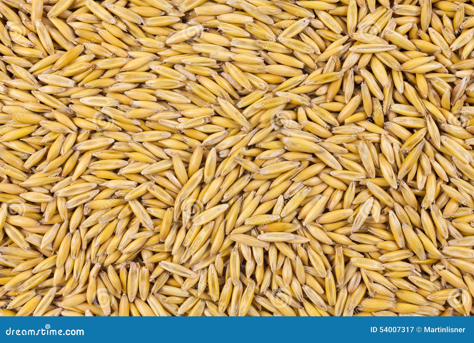 Natural Oat Grains Background, Closeup Stock Image - Image of yellow ...