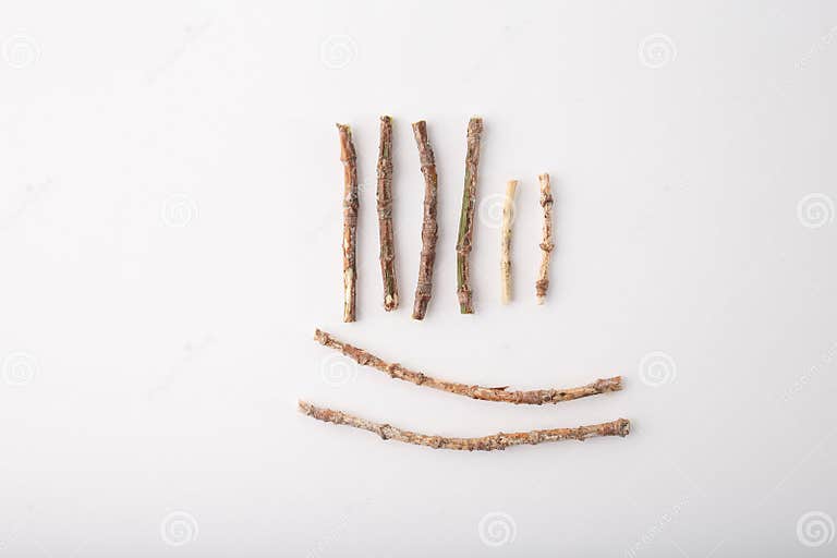 Natural Objects on a White Background. Sticks of Different Lengths and ...