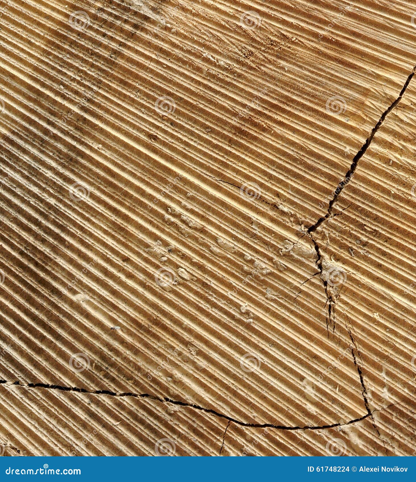 Natural Old Wood Grain Log Square Frame Texture Close-Up Stock Photo ...