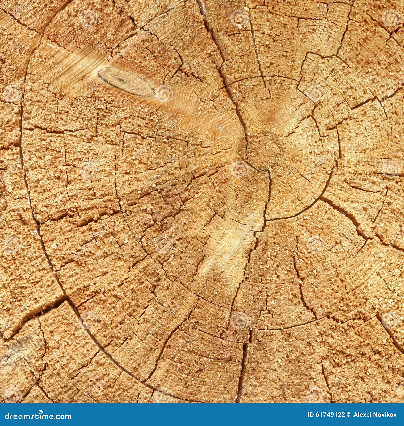 Natural Old Wood Grain Log Square Frame Texture Close-Up Stock Photo ...