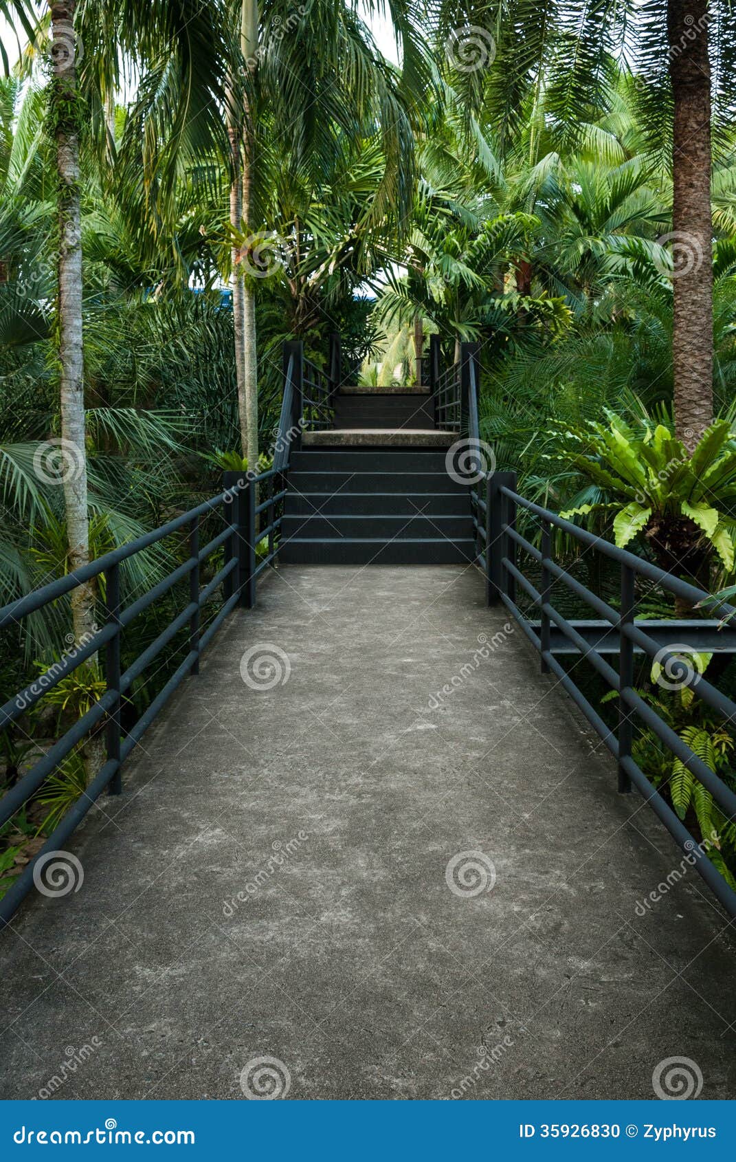 Natural Open Corridor in Botanic Park Stock Photo - Image of design ...