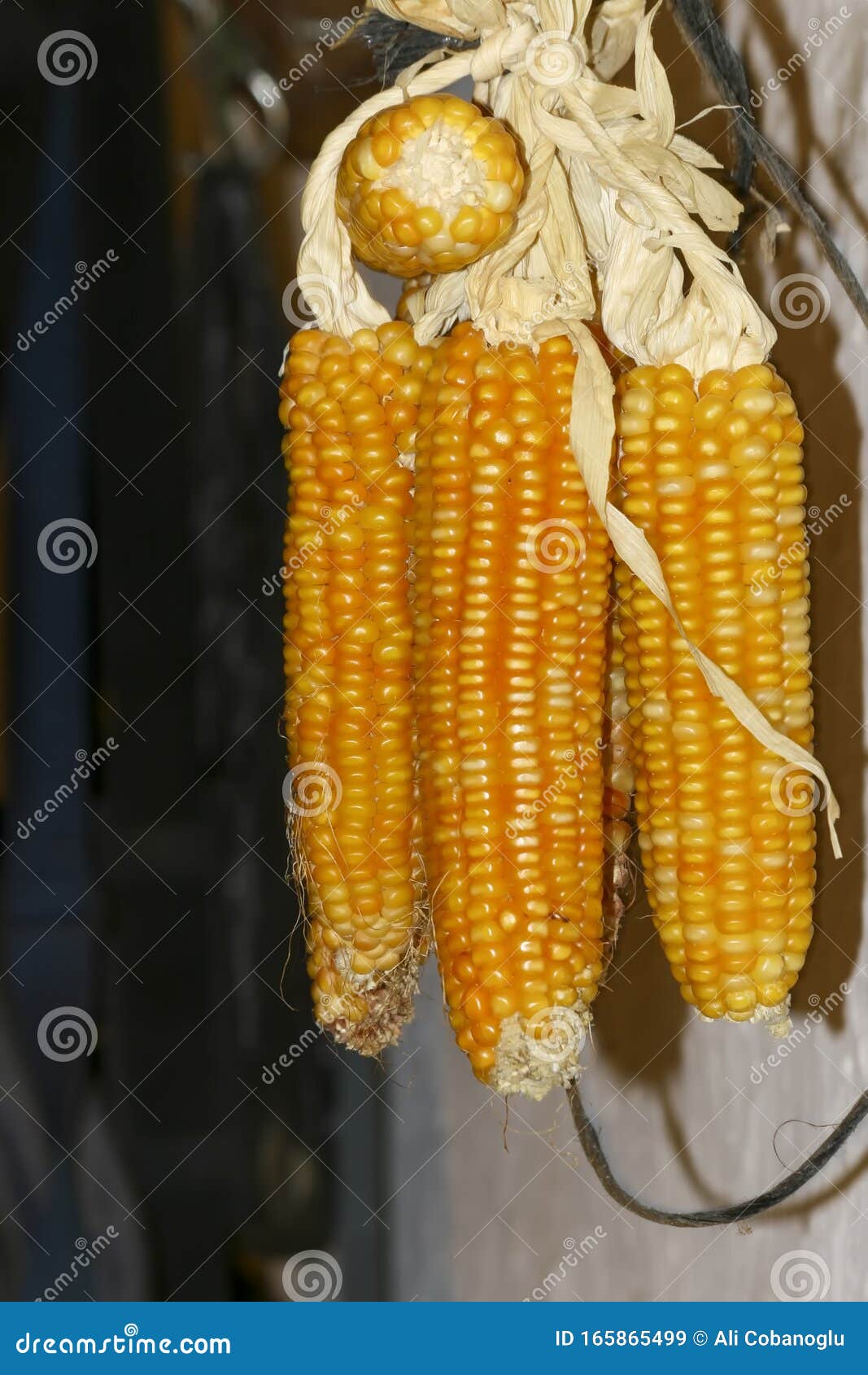 4 Natural Orange-colored Corn in Antalya Turkey Stock Image - Image of ...