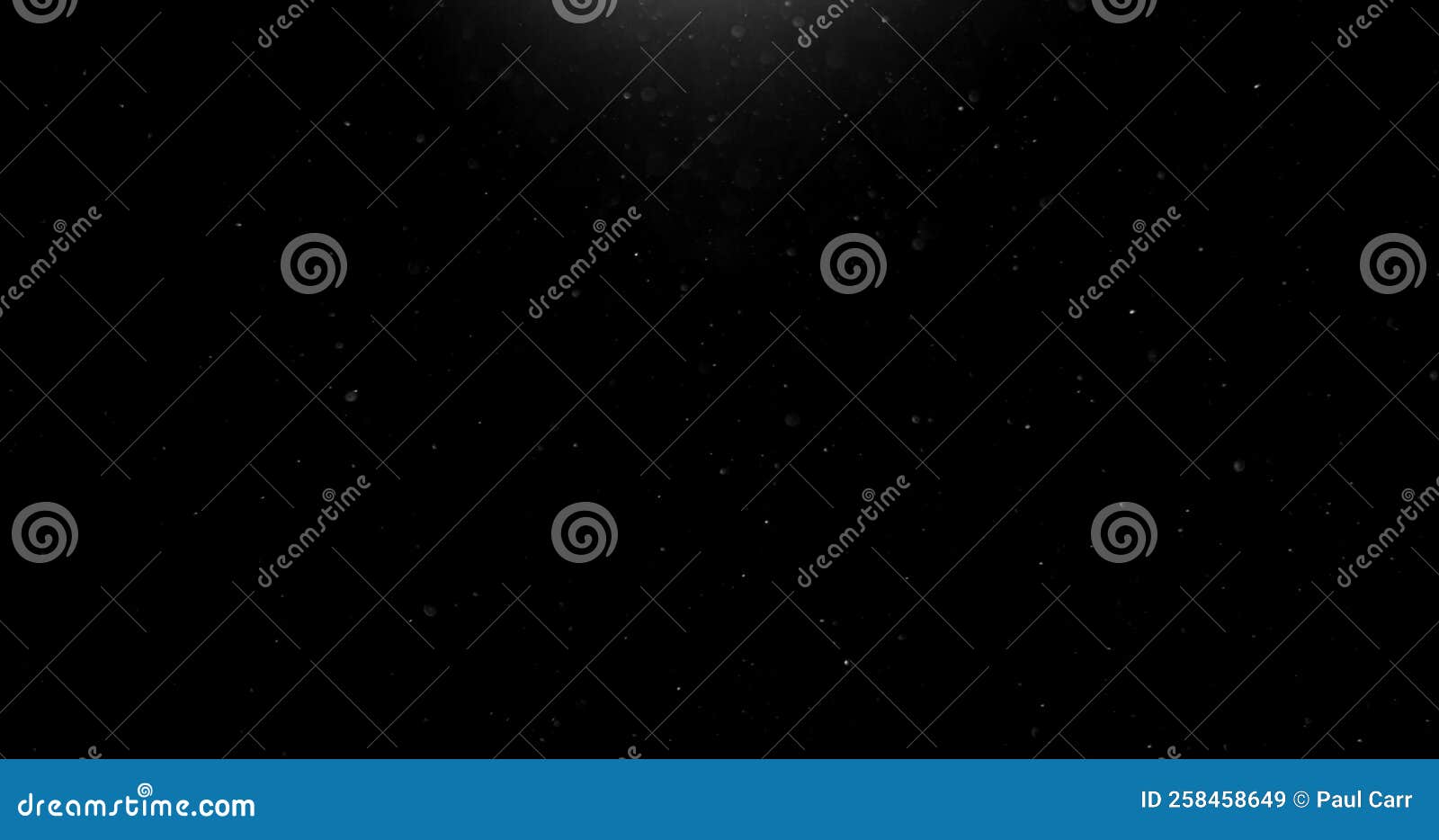 Natural Organic Dust Particles Floating on Black Screen. Dynamic Dust ...